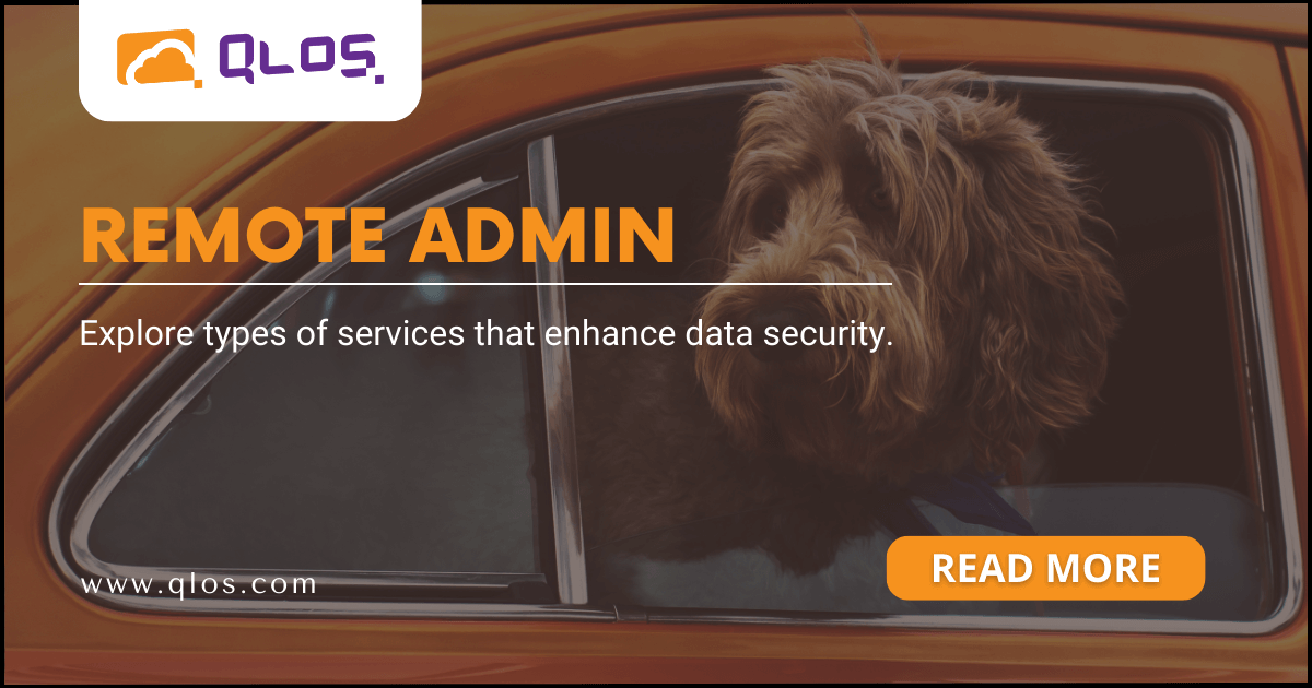 Remote admin - learn about the types of services that enhance data ...